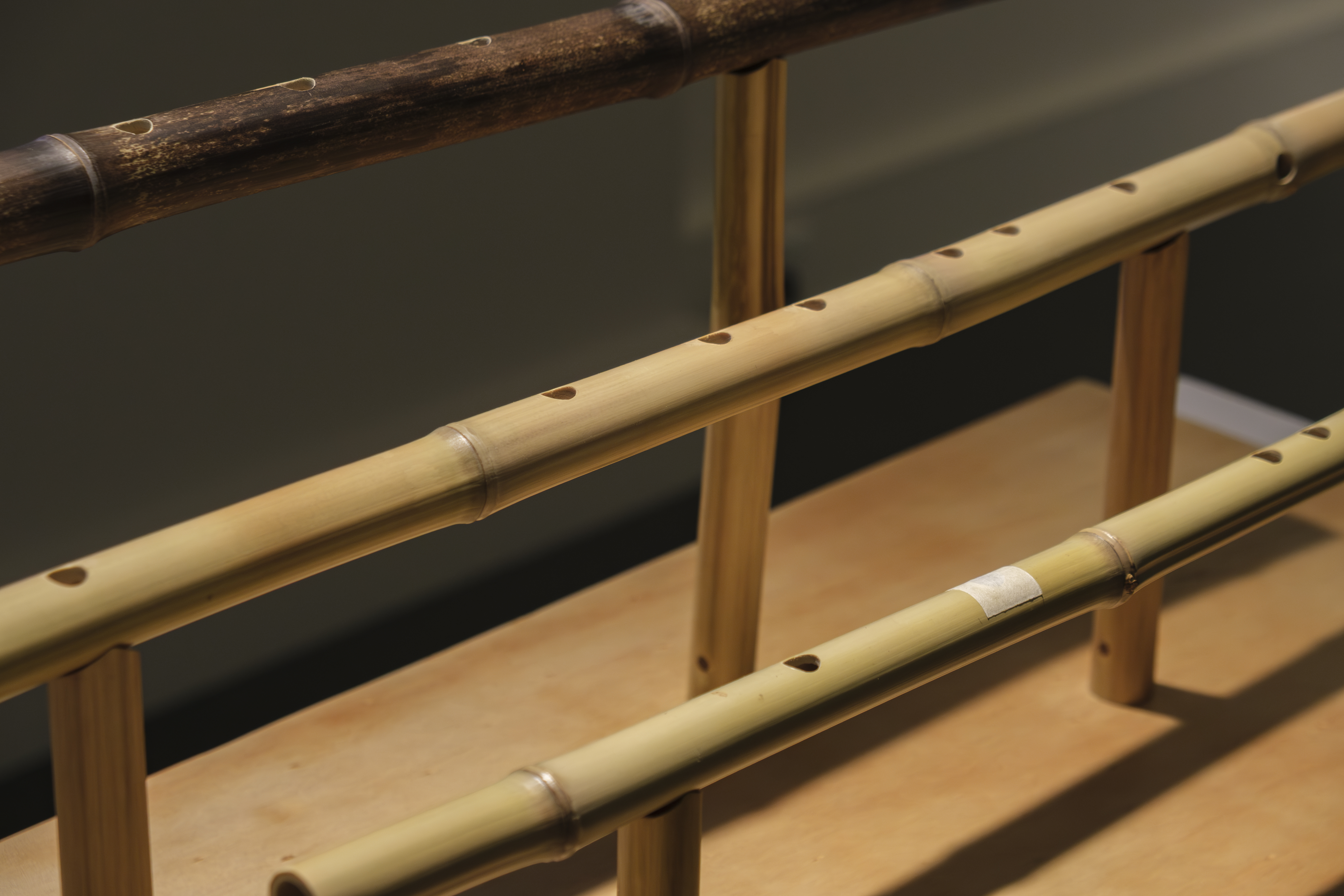 Bamboo Entwine as they Grow: Exhibition Closing & Performances | Event